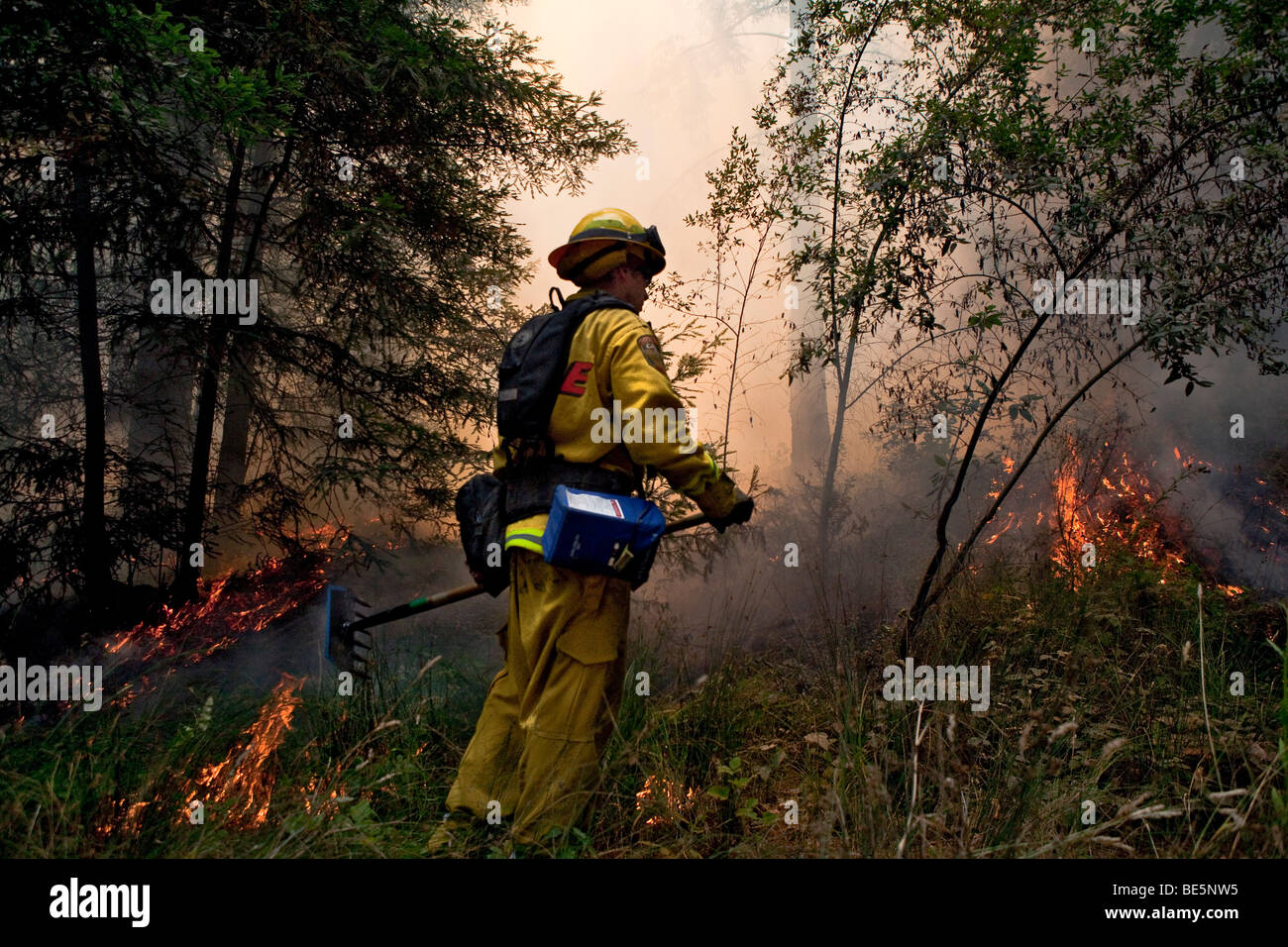 Wildland firefighters at California Lockheed wildfire in Santa Cruz ...
