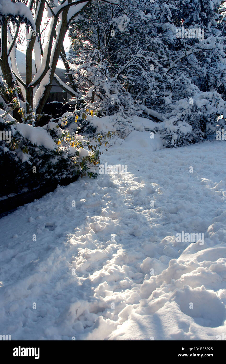 Covered pathway hi-res stock photography and images - Alamy
