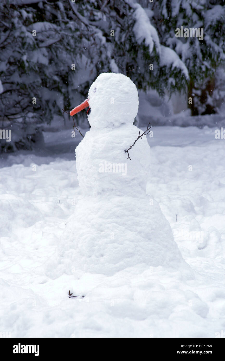 Profile of a snowman Stock Photo - Alamy