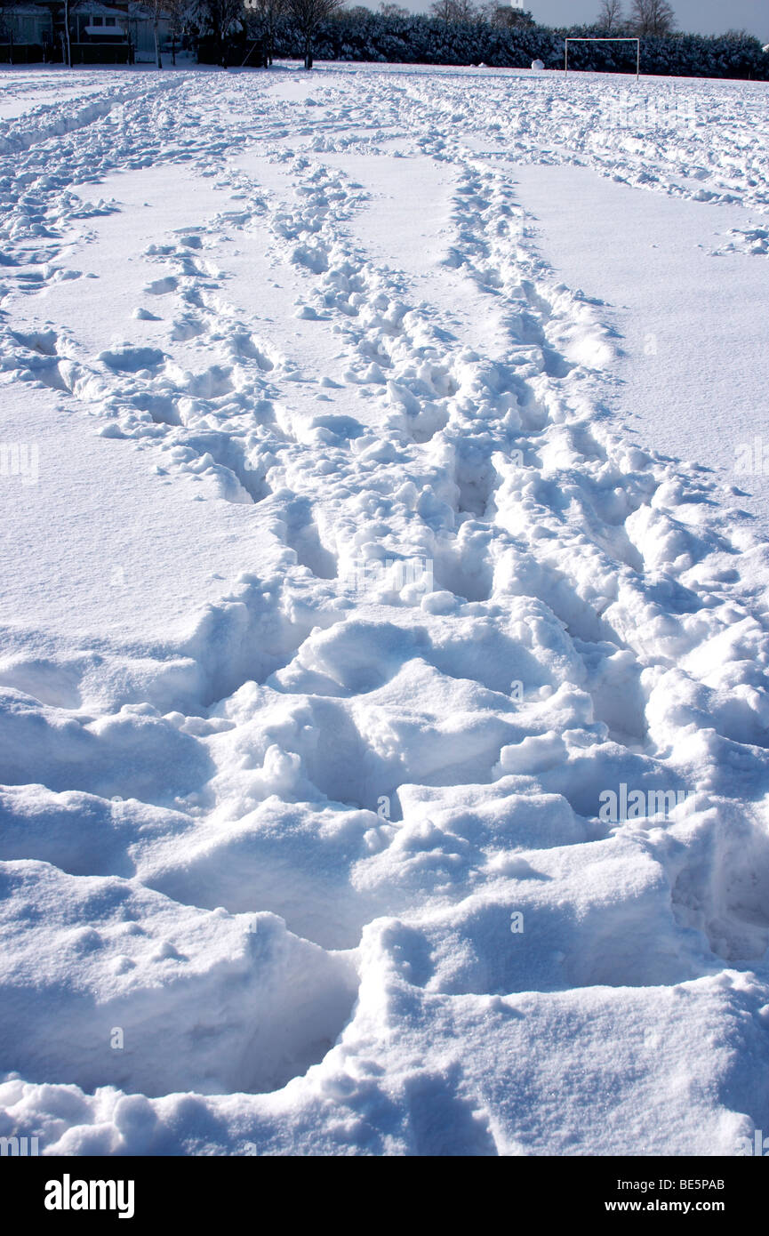 Tracks in the snow Stock Photo - Alamy
