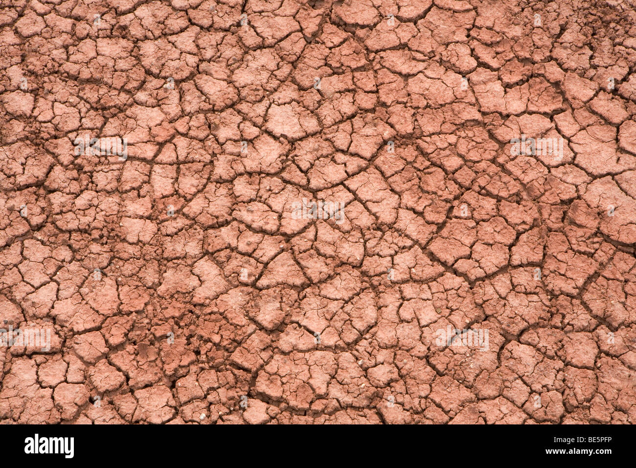 Cracked Ground Desert High Resolution Stock Photography and Images - Alamy
