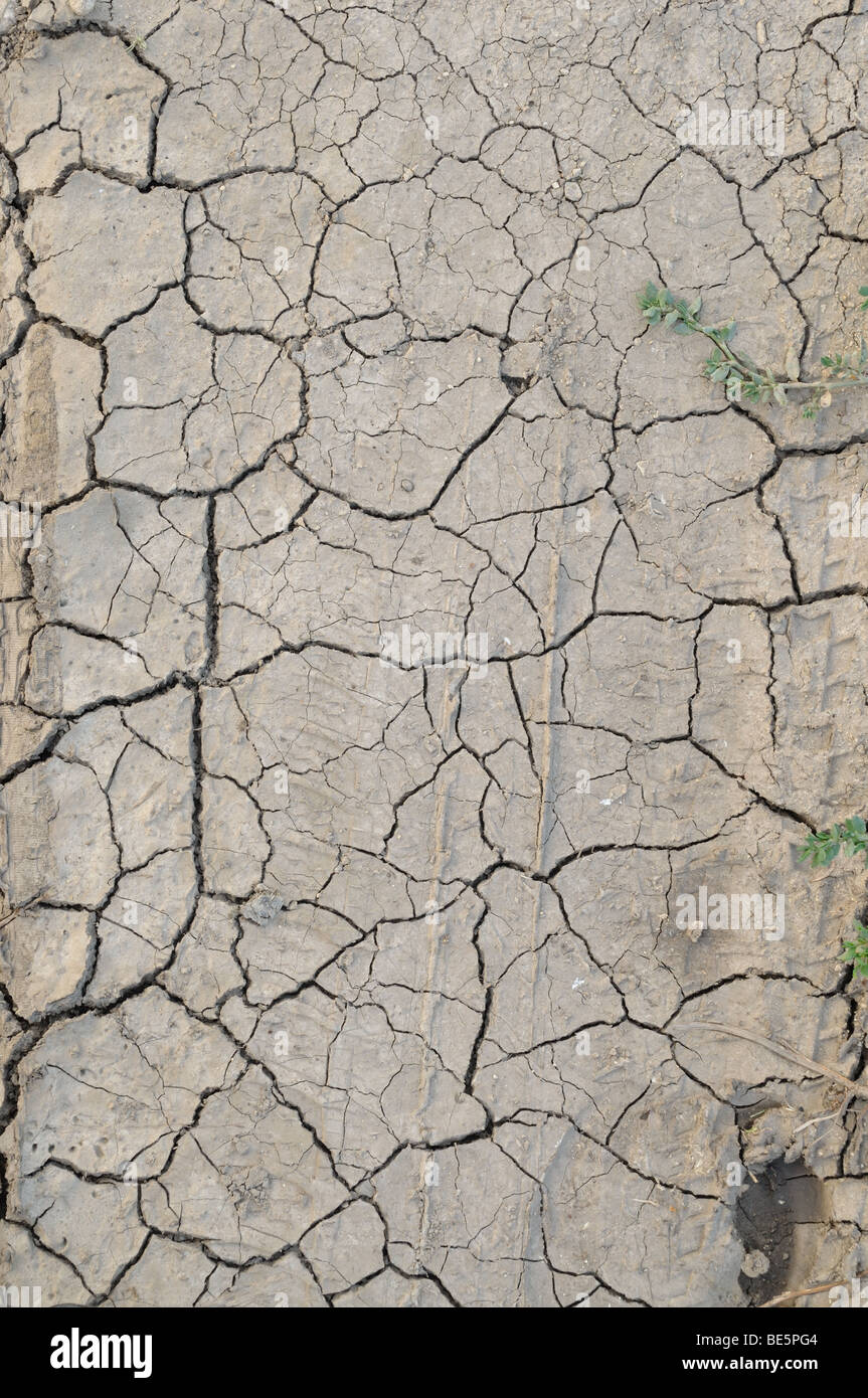Dry mud as a background Stock Photo - Alamy