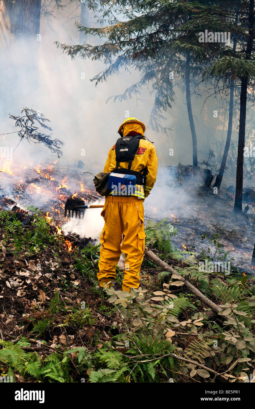 Wildland firefighters at California Lockheed wildfire in Santa Cruz ...