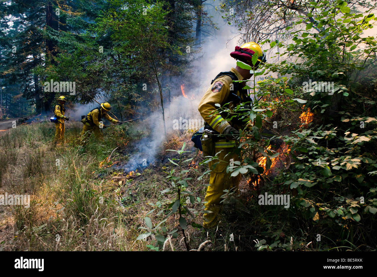 Wildland firefighters at California Lockheed wildfire in Santa Cruz ...
