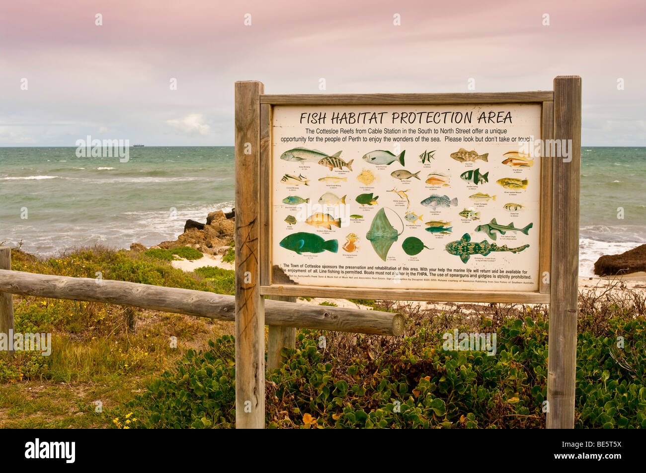 Sign on West Australian beach showing protected fish species Stock ...