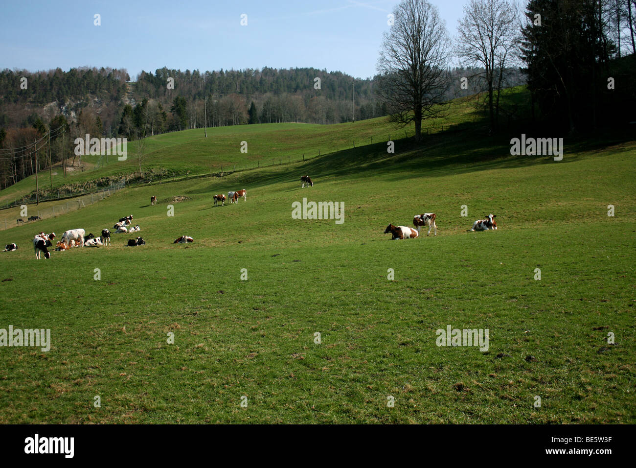 Naturel landscape hi-res stock photography and images - Alamy