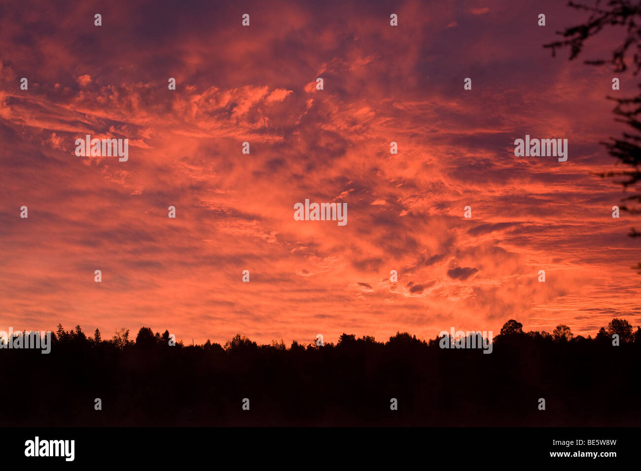 Red Sky in the Morning. Predawn red and orange sky colours highlight ...