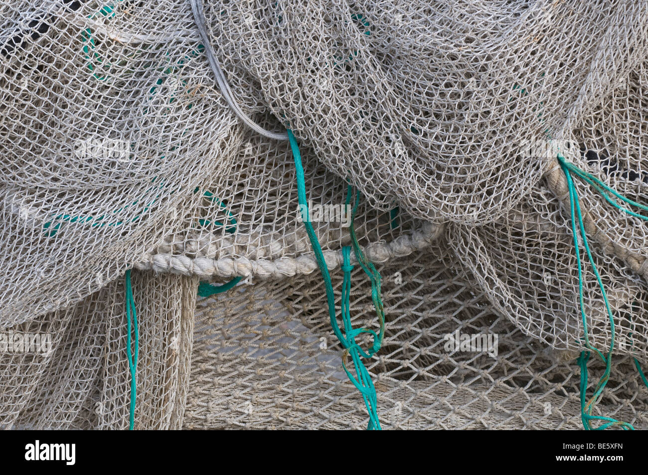 Nets full of fish hi-res stock photography and images - Alamy