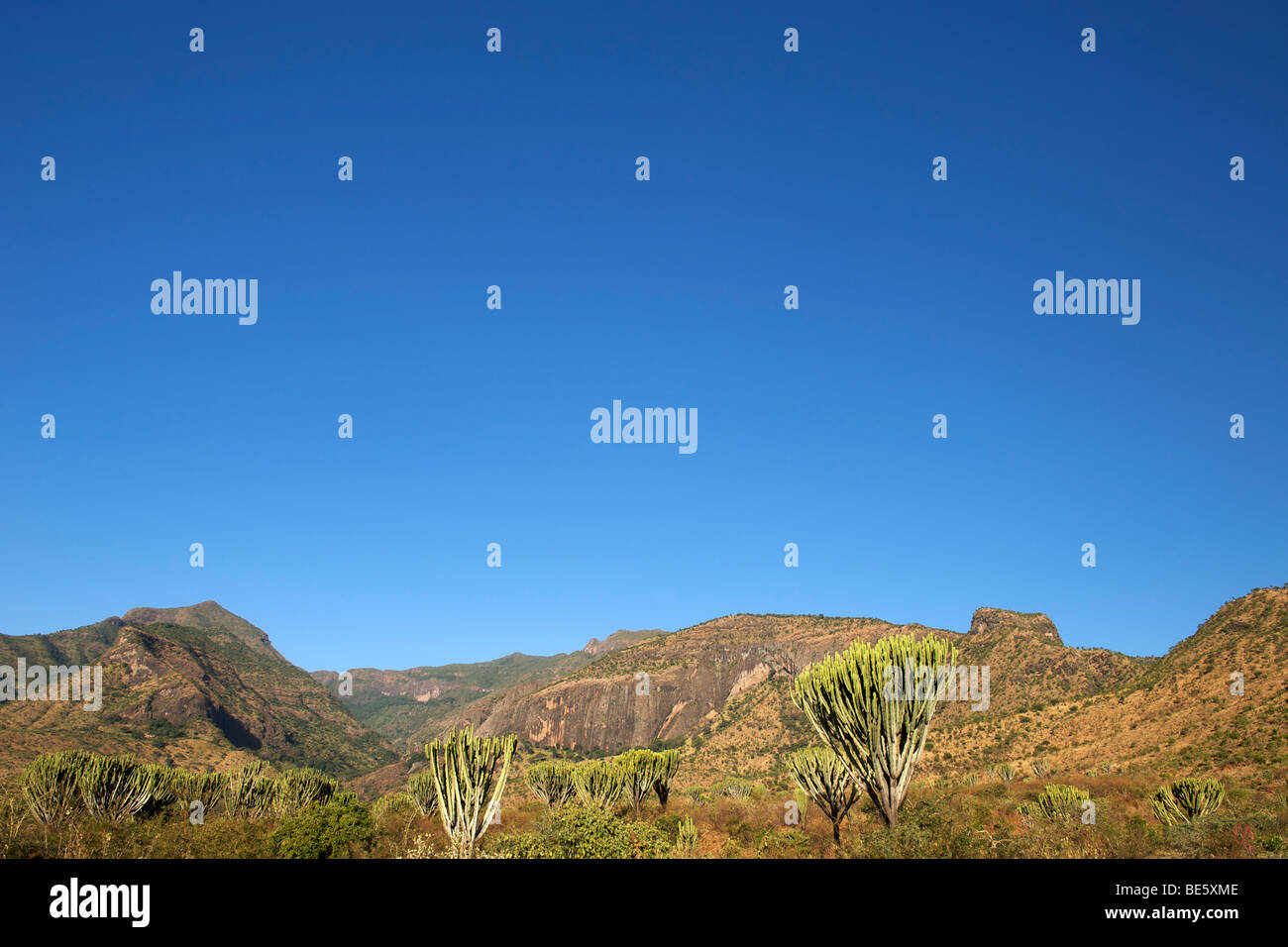 African landscape in uganda hi-res stock photography and images - Alamy