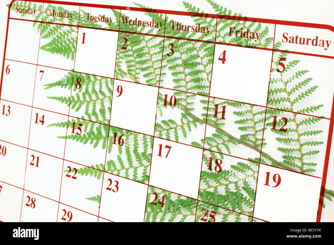 Calendar and Ferns Stock Photo - Alamy