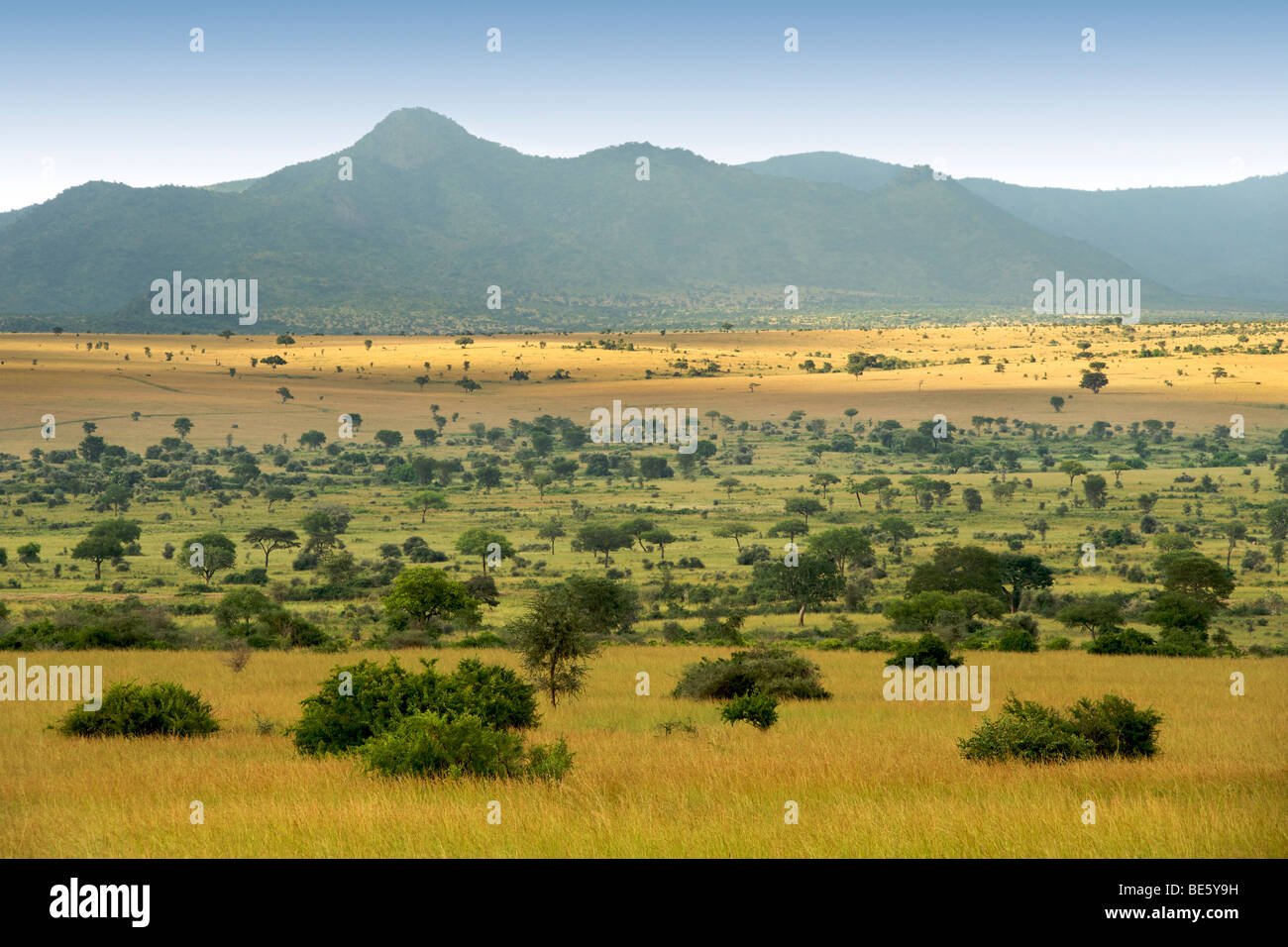 African plains landscape hi-res stock photography and images - Alamy