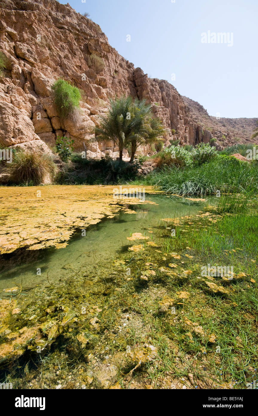 Wadi Shab, Oman Stock Photo - Alamy
