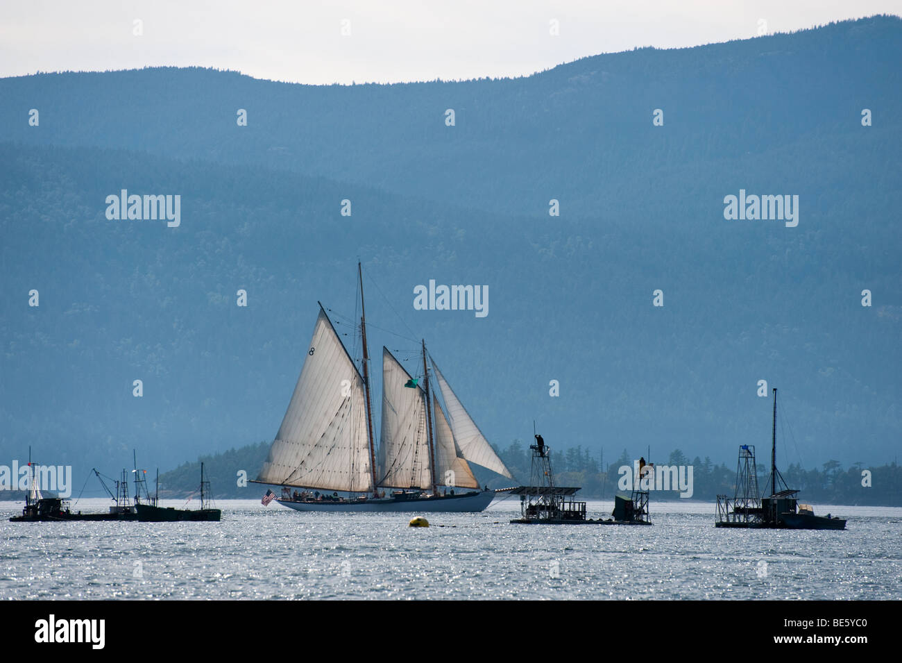 The tall ship Zodiac sails past reefnet salmon gears in between Lummi ...