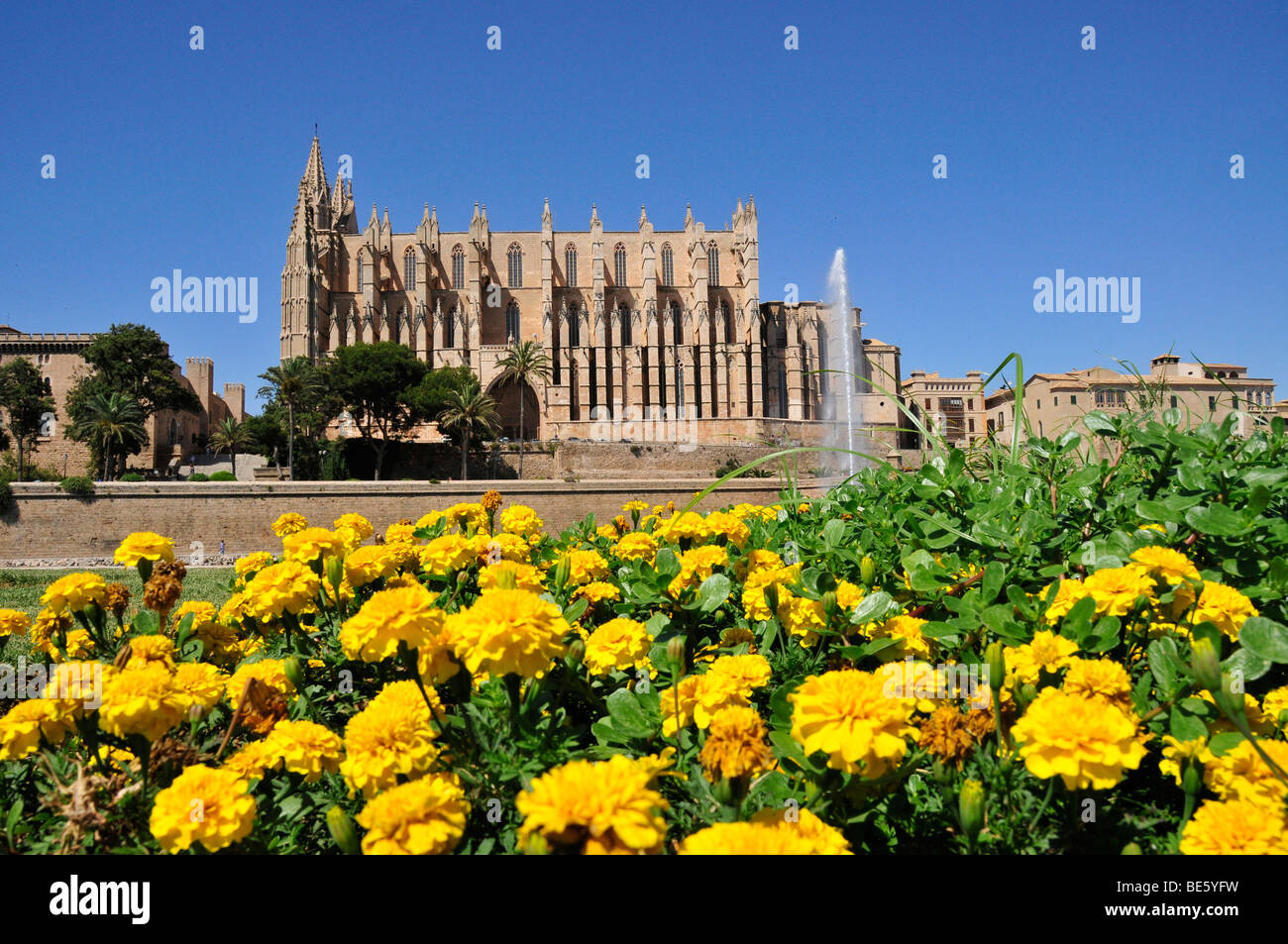 Palma landmarks hi-res stock photography and images - Alamy