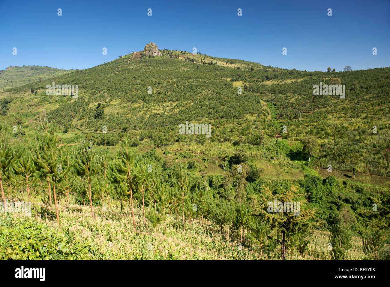 Mt elgon hi-res stock photography and images - Alamy