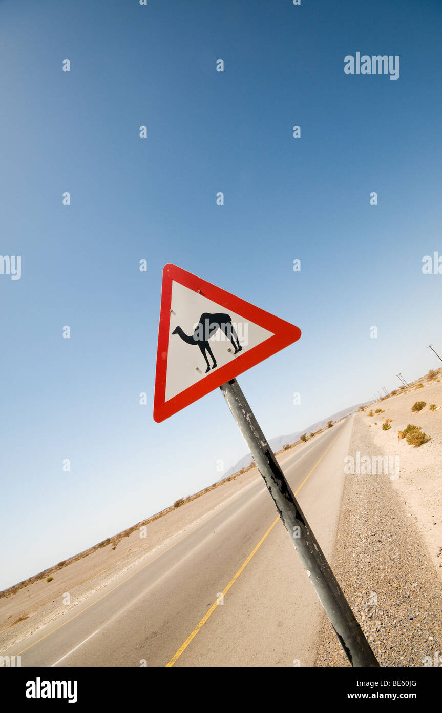 Camel warning sign, Oman Stock Photo - Alamy