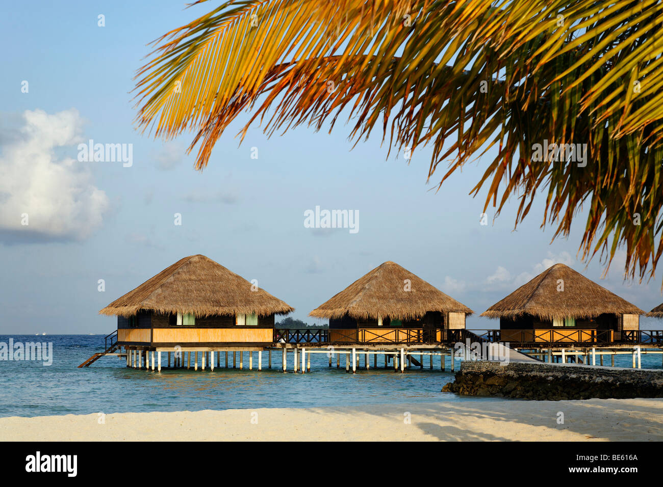 Water bungalows, beach, Vadoo, island, South Male Atoll, Maldives ...