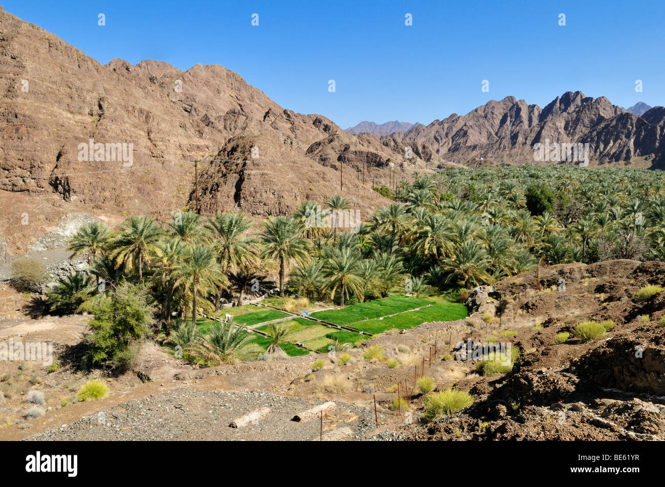 Al Buraimi High Resolution Stock Photography and Images - Alamy
