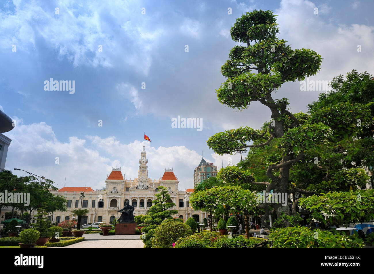 Vietnamese bonsai hi-res stock photography and images - Alamy