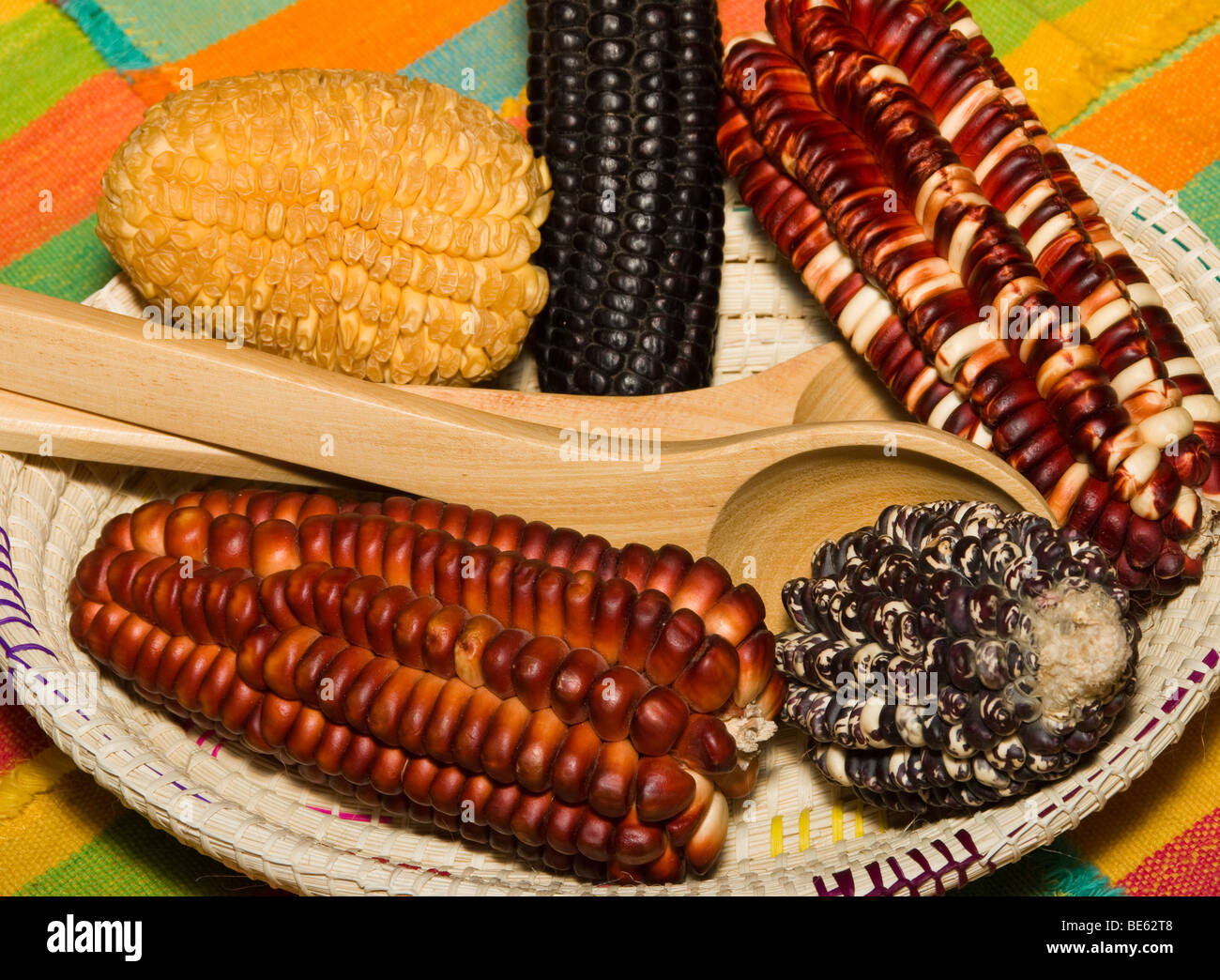 Different types of South American corn Stock Photo - Alamy
