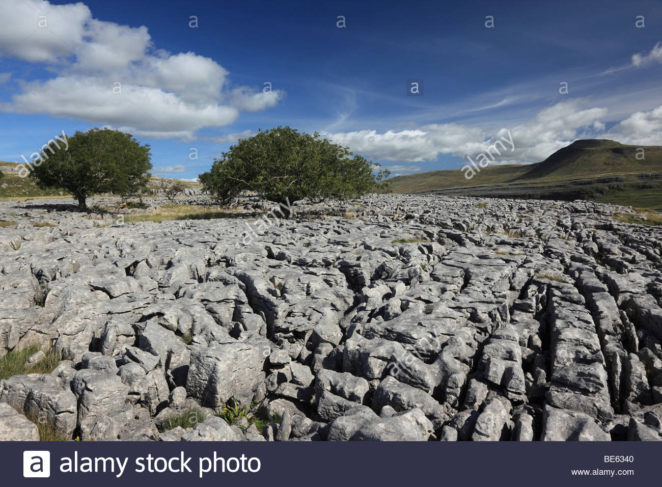 Lapies Surface Stock Photos & Lapies Surface Stock Images - Alamy