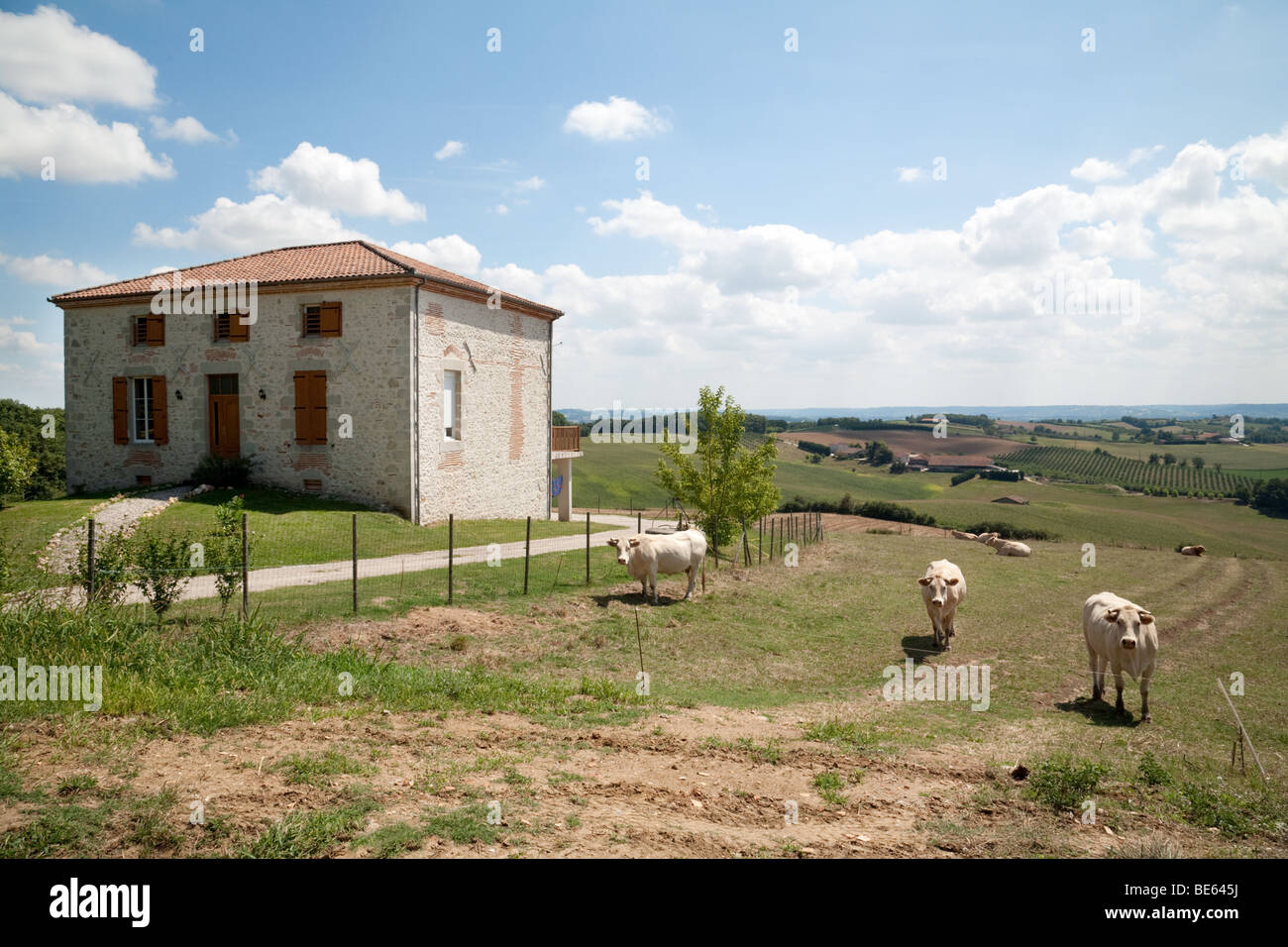 None hi-res stock photography and images - Alamy