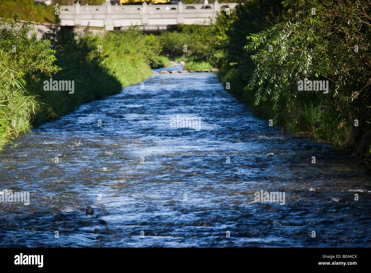 Cheonggyecheon River in Seoul South Korea Stock Photo - Alamy