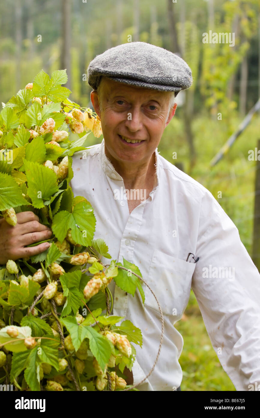 Hops hop garden beer hi-res stock photography and images - Alamy