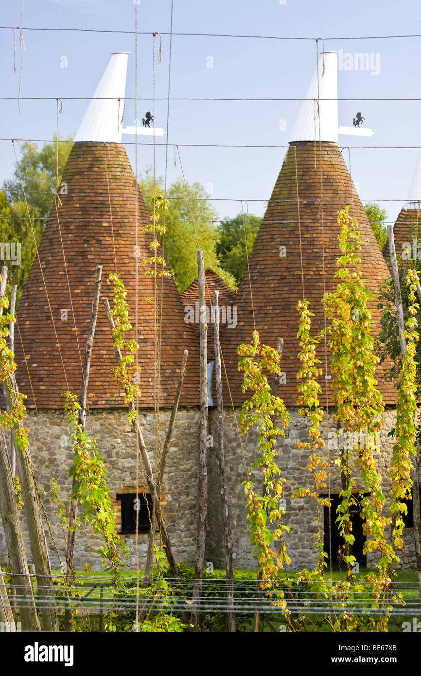 Oast houses hi-res stock photography and images - Alamy