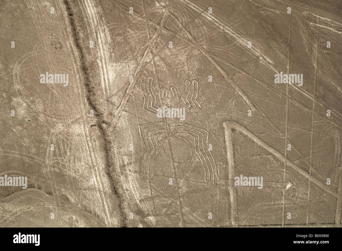 Spider nazca lines peru hi-res stock photography and images - Alamy