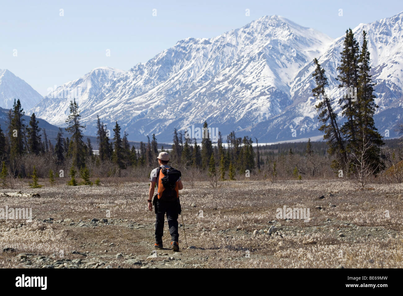 Kluane national park hi-res stock photography and images - Alamy
