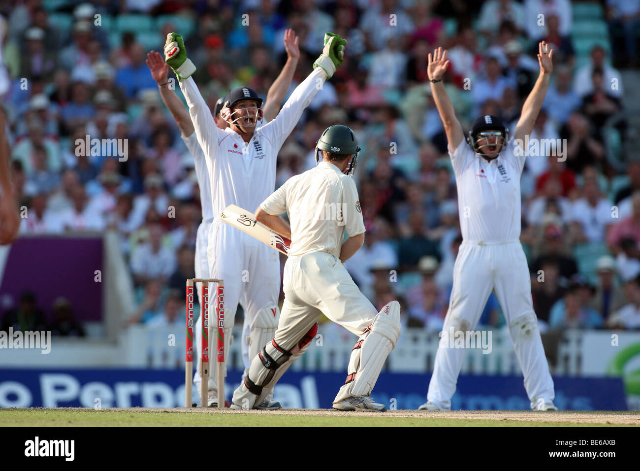 Lbw appeal hi-res stock photography and images - Alamy