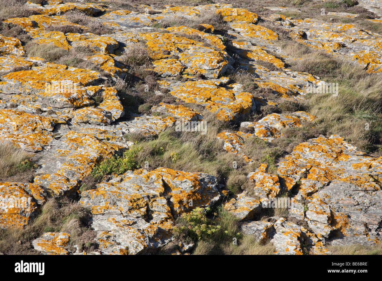 Groix france hi-res stock photography and images - Alamy