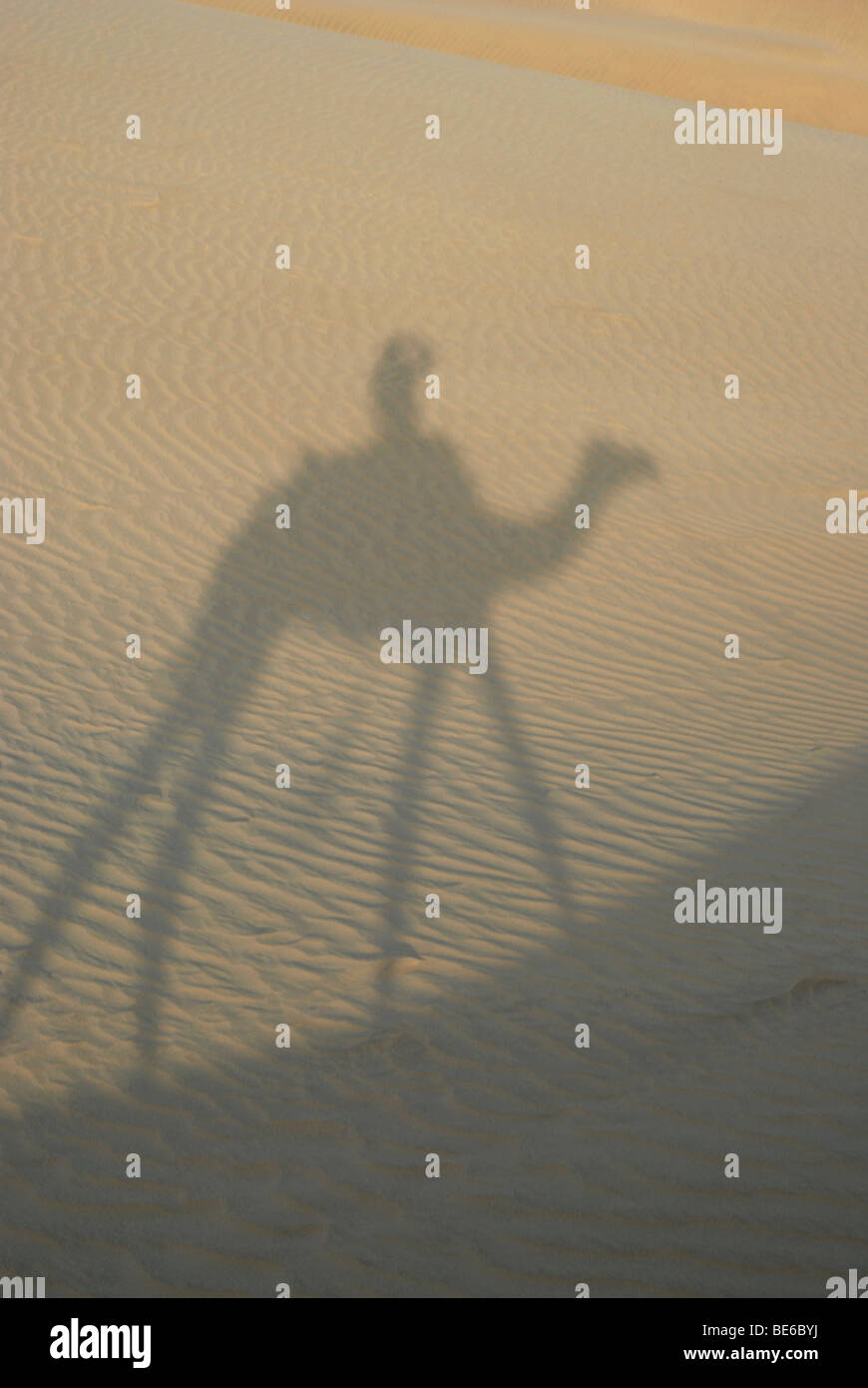 Thar desert transport hi-res stock photography and images - Alamy