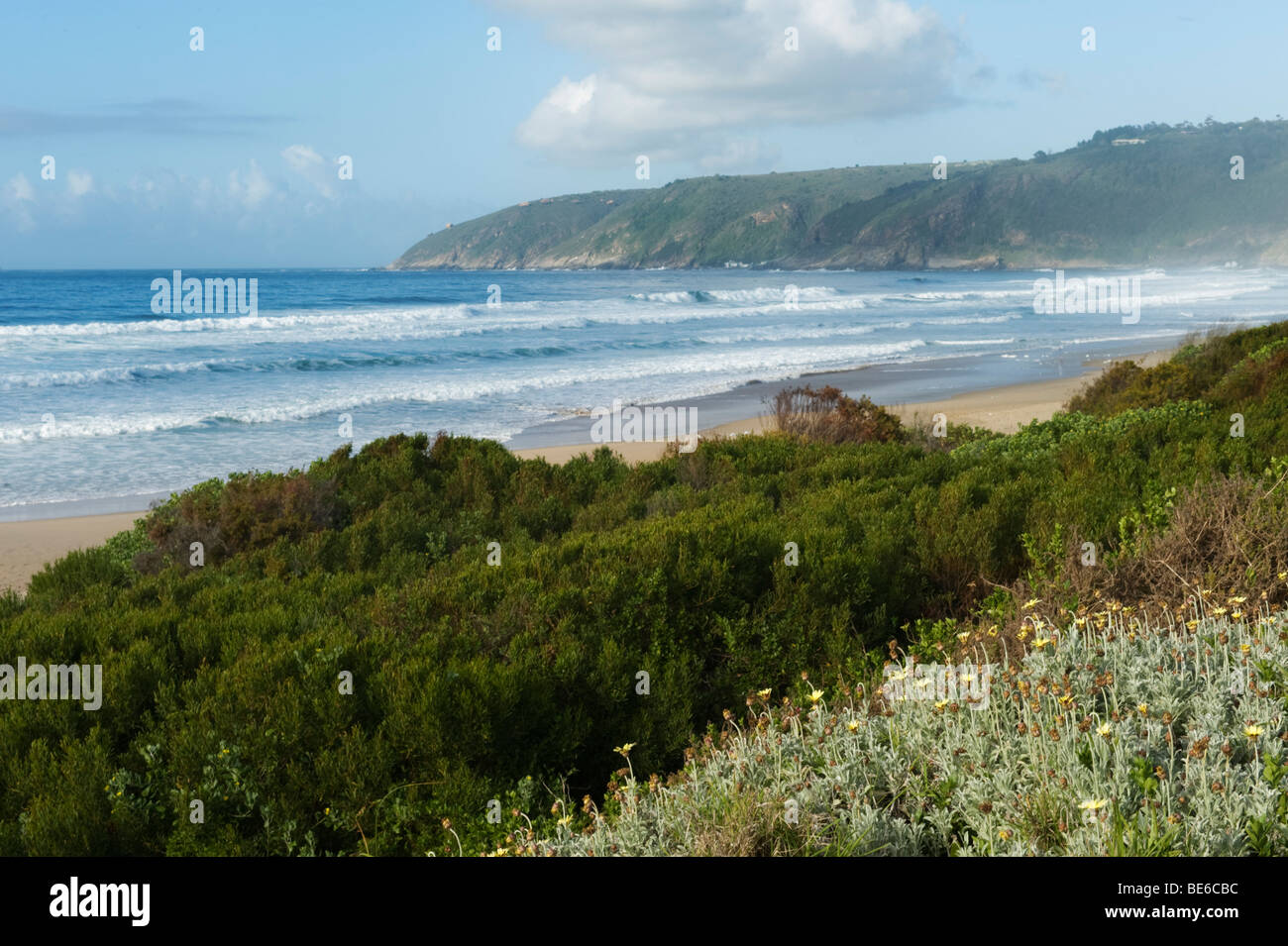 Beach, Wilderness National Park, Garden Route, South Africa Stock Photo ...