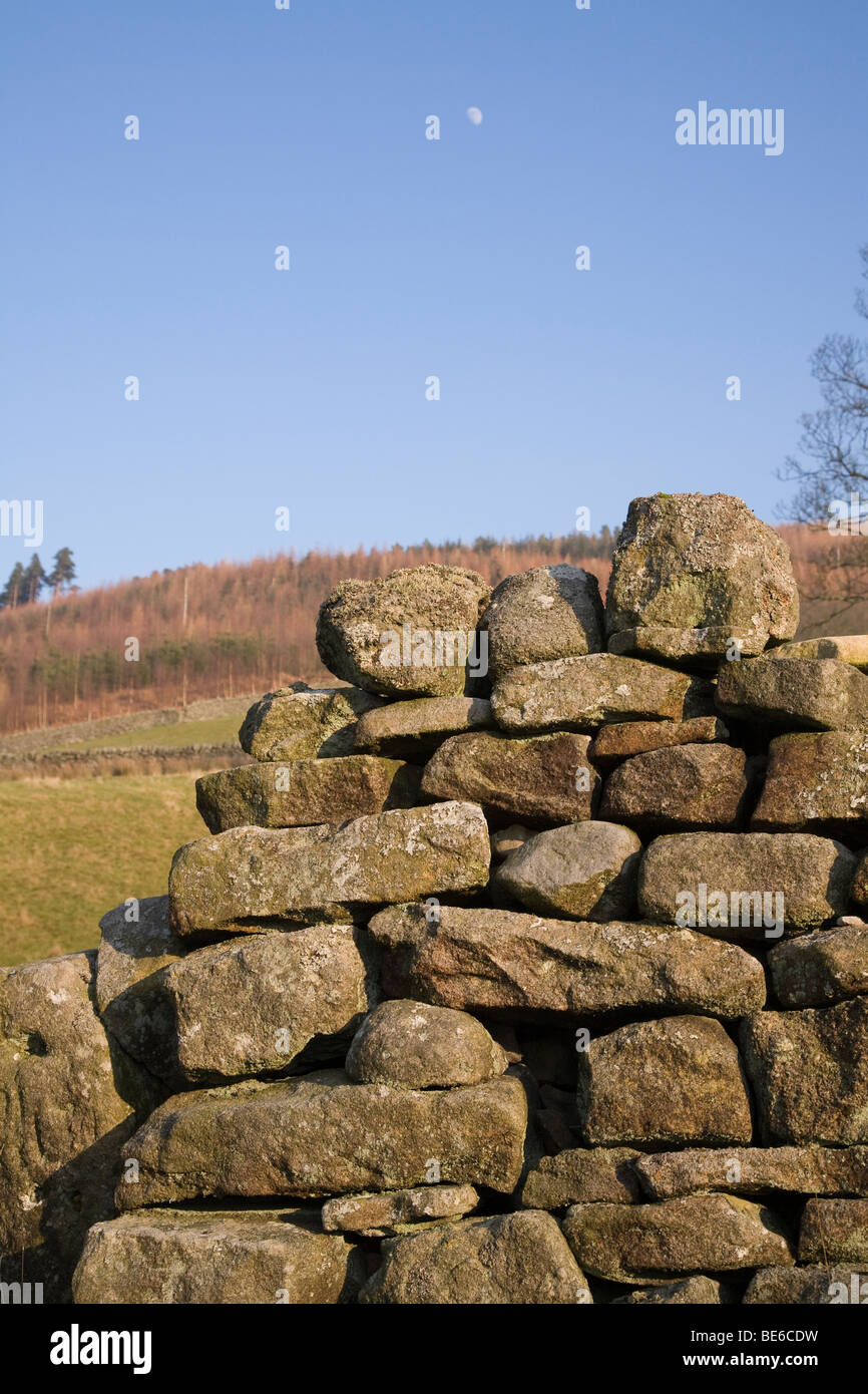 Yorkshire Dales dry stone wall Stock Photo - Alamy