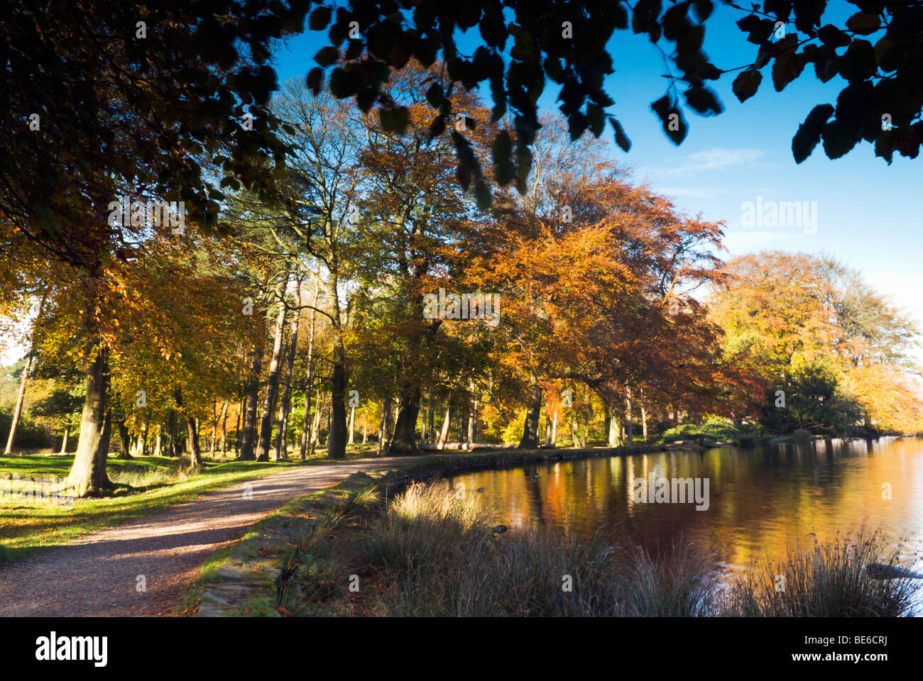 Longshaw hi-res stock photography and images - Alamy