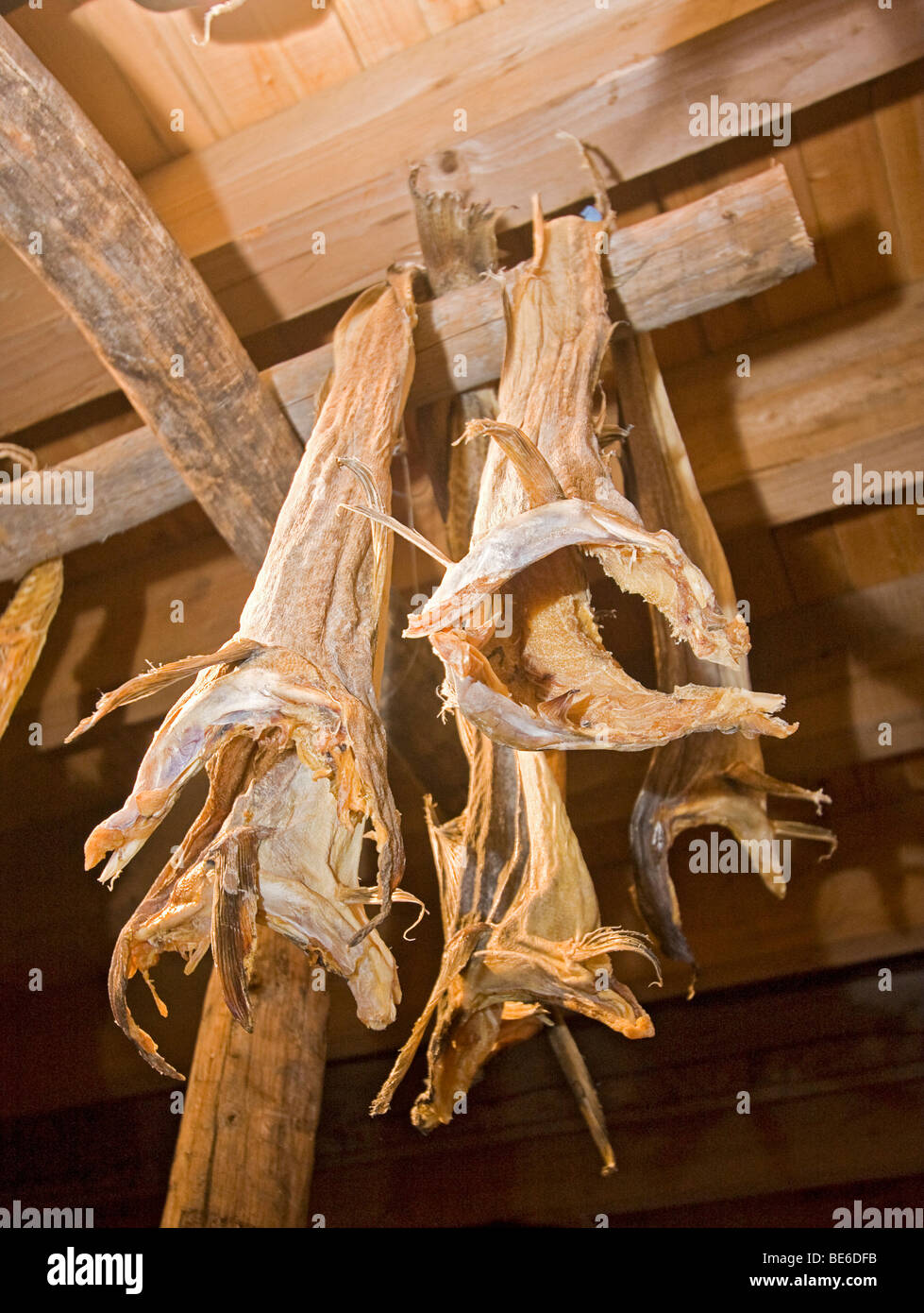 Strips of dried cod, known as stockfish, at the Coastal Heritage Centre ...