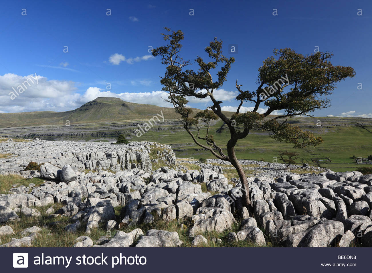 Lapies Surface Stock Photos & Lapies Surface Stock Images - Alamy