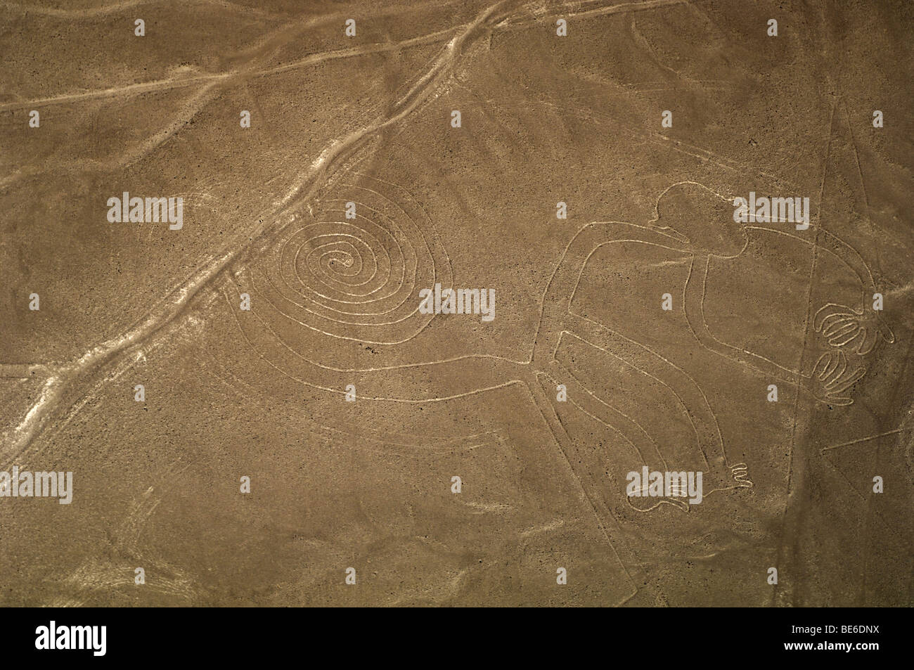 Nazca lines monkey hi-res stock photography and images - Alamy