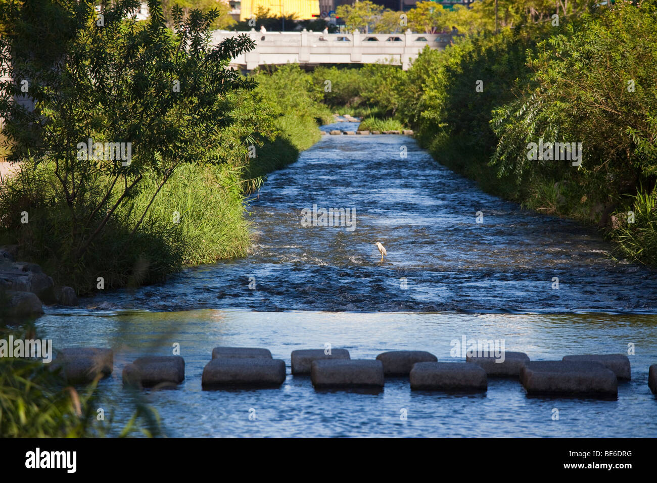 Cheonggyecheon River in Seoul South Korea Stock Photo - Alamy
