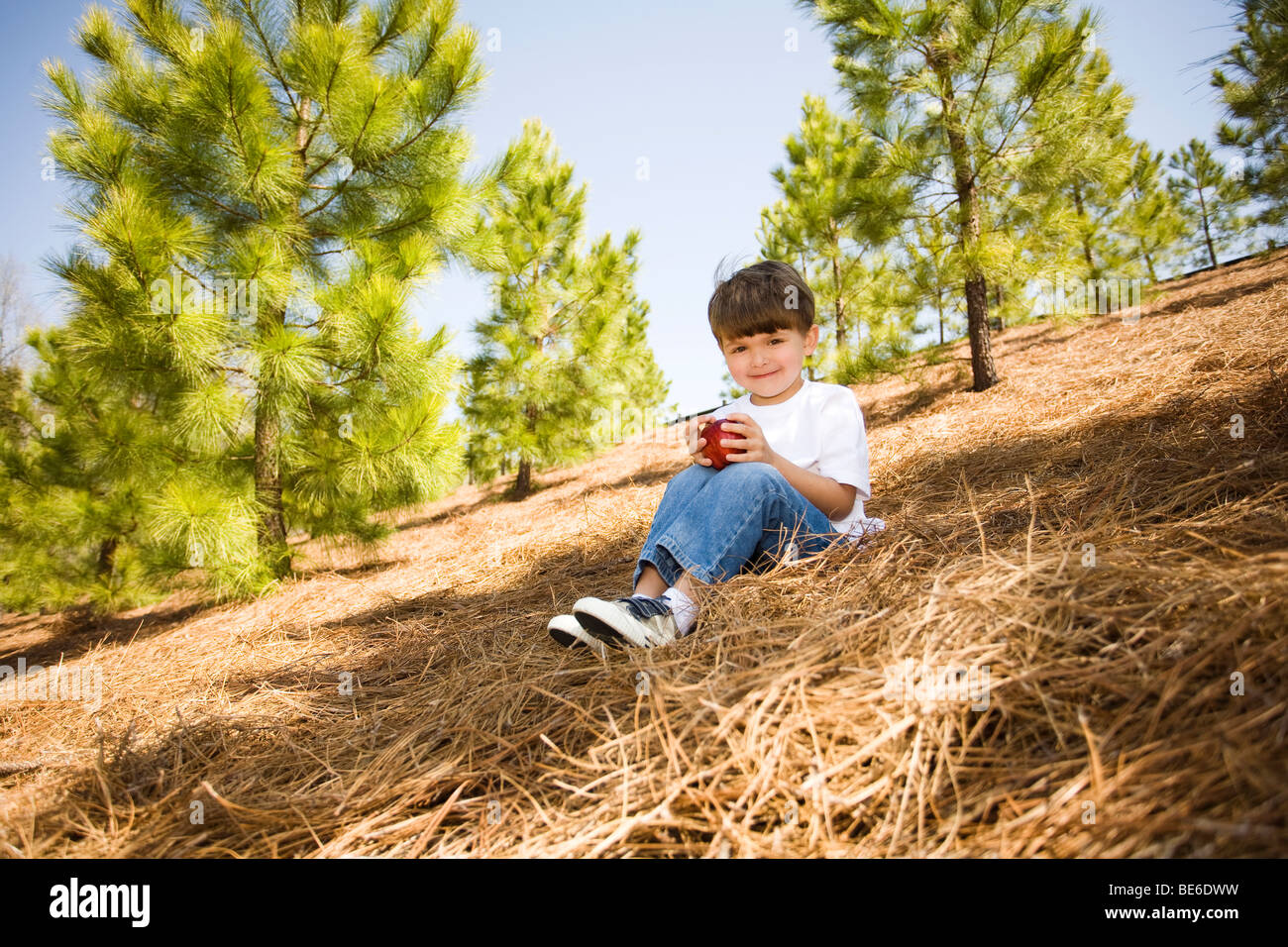 Boy Pines Stock Photos & Boy Pines Stock Images - Alamy