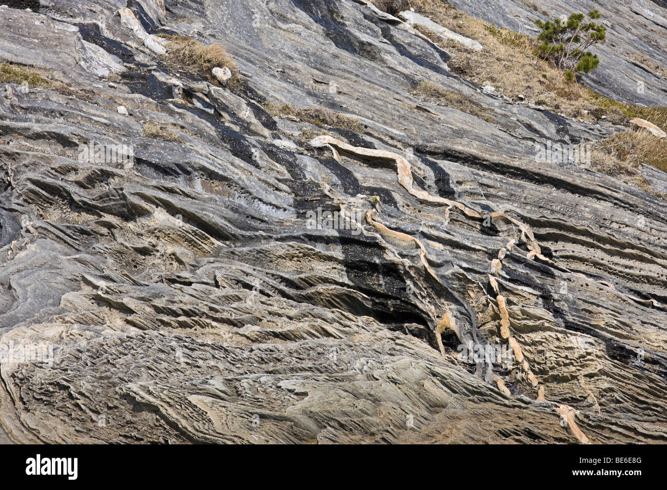 Swirl of lines and folded rock in Caledonian soapsone along the shore ...