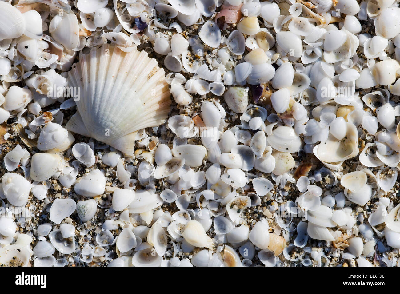 Hintergrund beach hi-res stock photography and images - Alamy