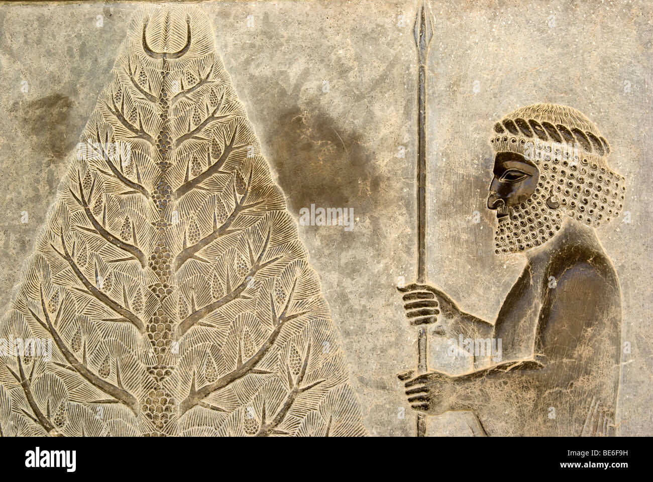 Persepolis iran archaeologists hi-res stock photography and images - Alamy