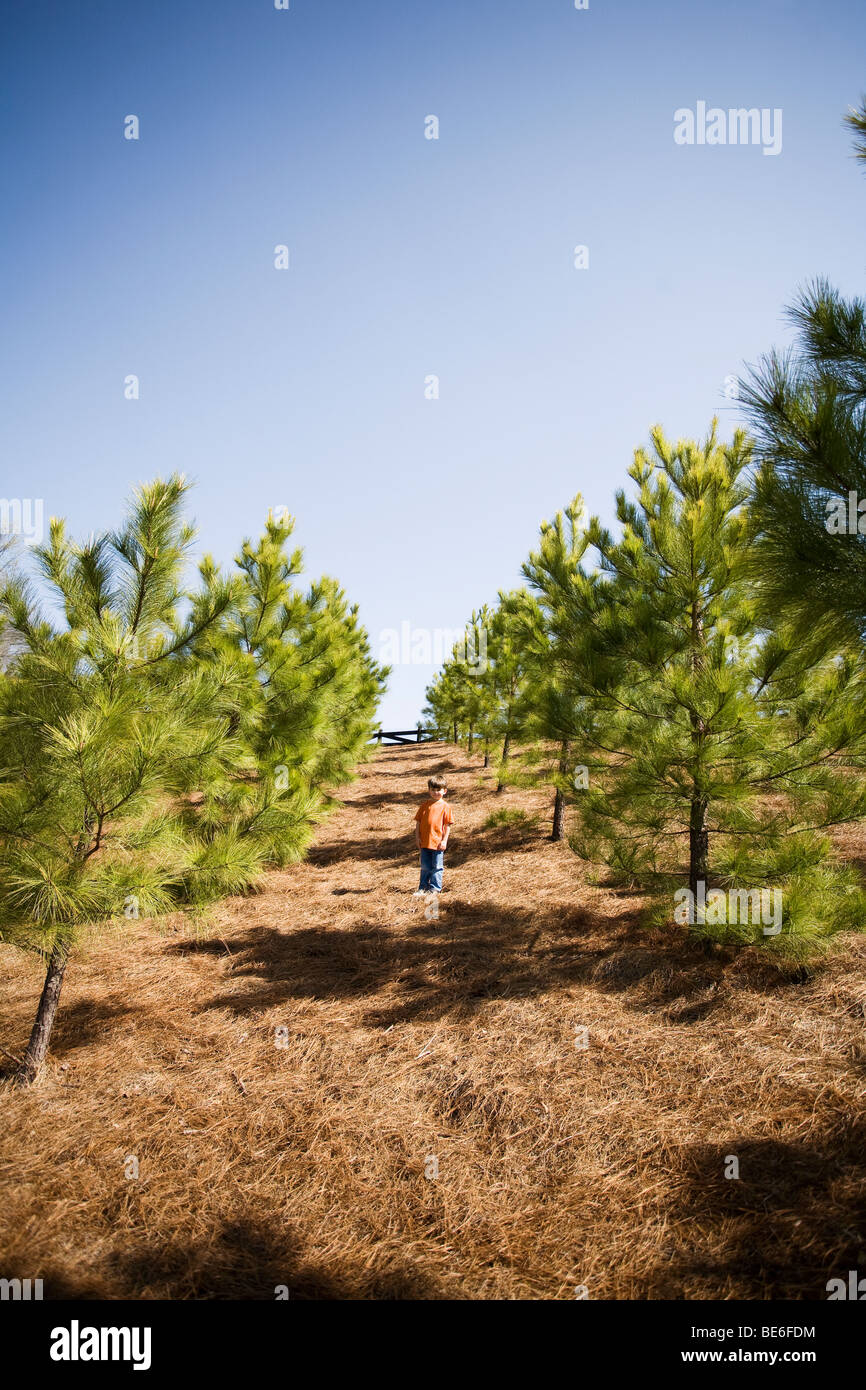 Boy pines hi-res stock photography and images - Alamy