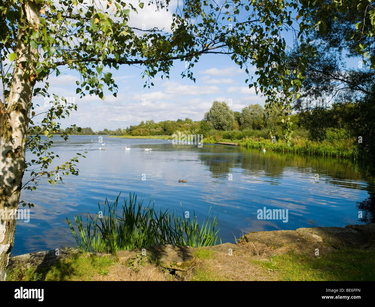 A view through the trees to the lake at Colwick Country Park ...