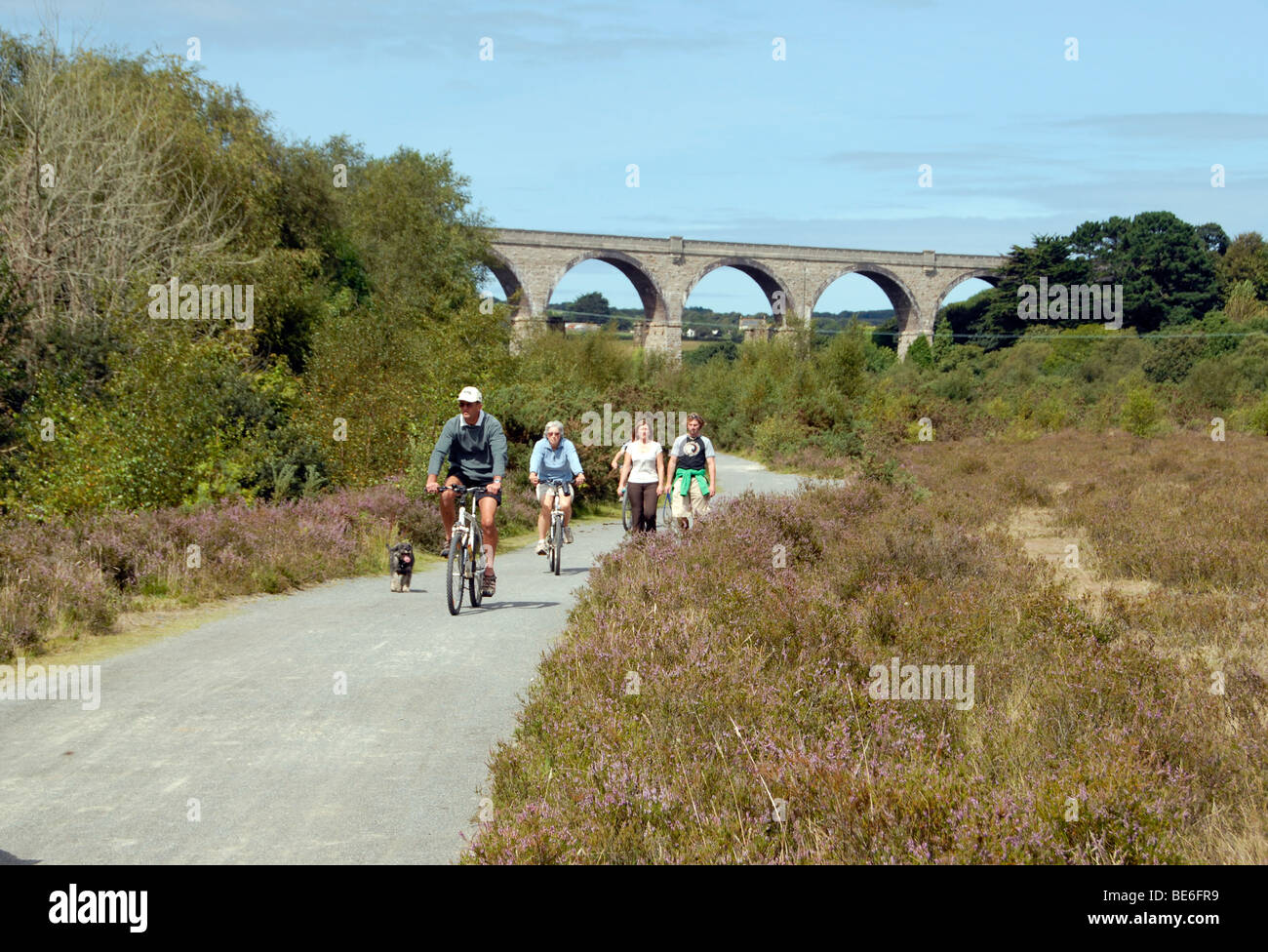 Cyclists pass the Carnon Viaduct on the Cornwall Coast to Coast cycling ...