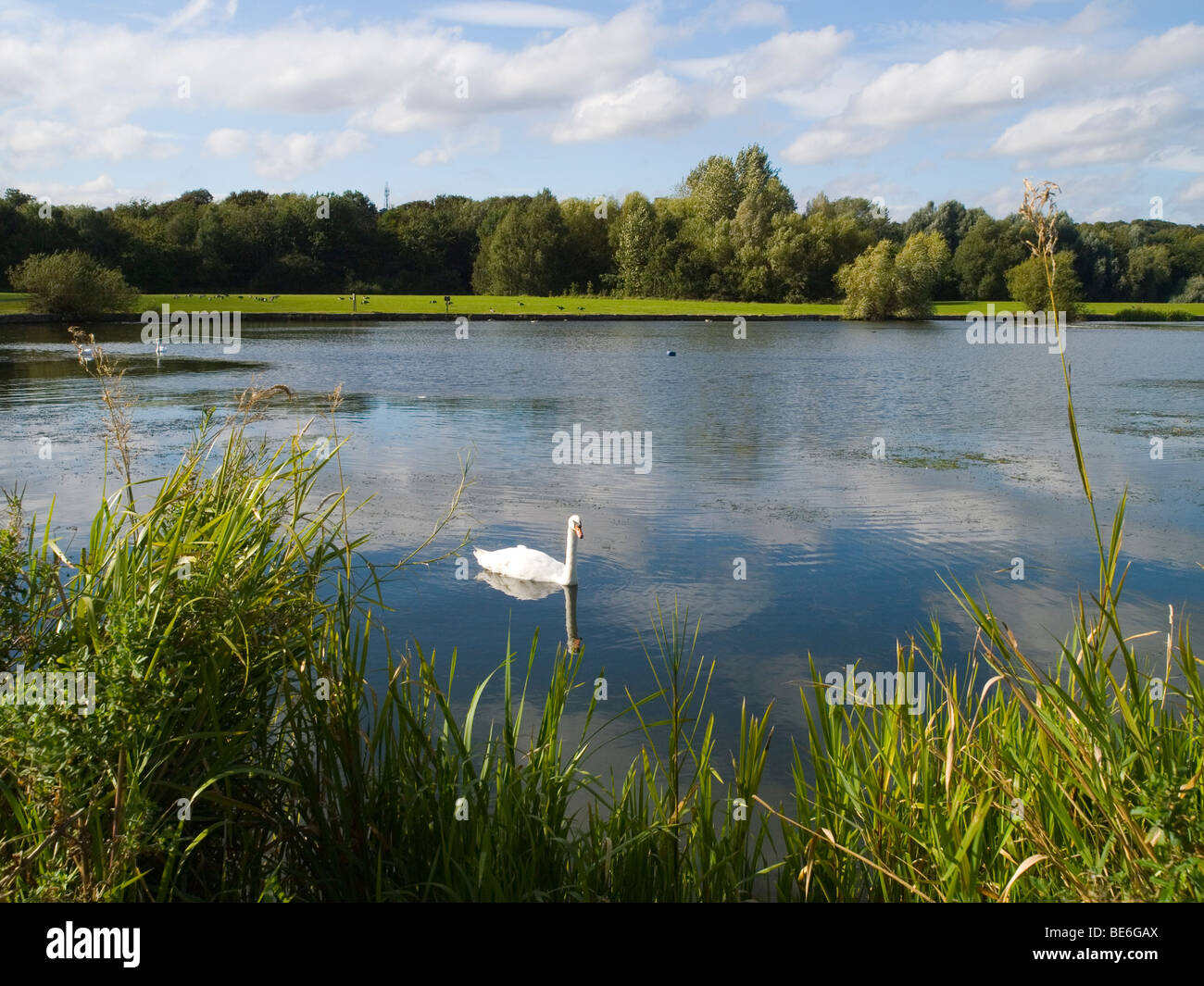 Colwick Country Park High Resolution Stock Photography and Images - Alamy