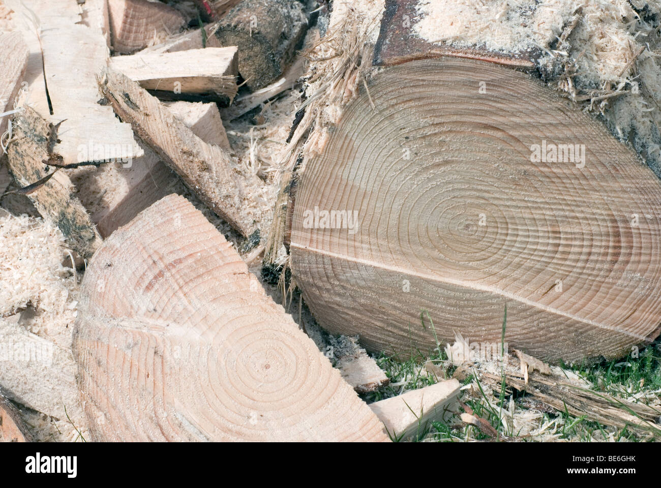 closeup of timber logs Stock Photo - Alamy